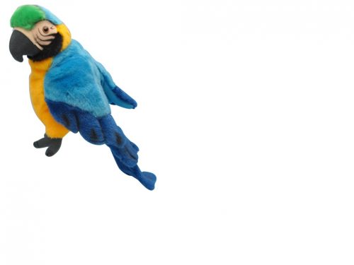 macaw puppet – The Parrot Place