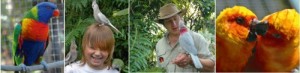 Admission | The Parrot Place
